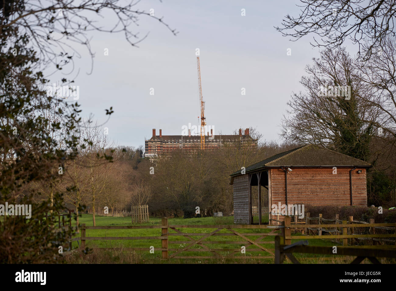 Royal Star & Garter Home, London, UK Stock Photo - Alamy