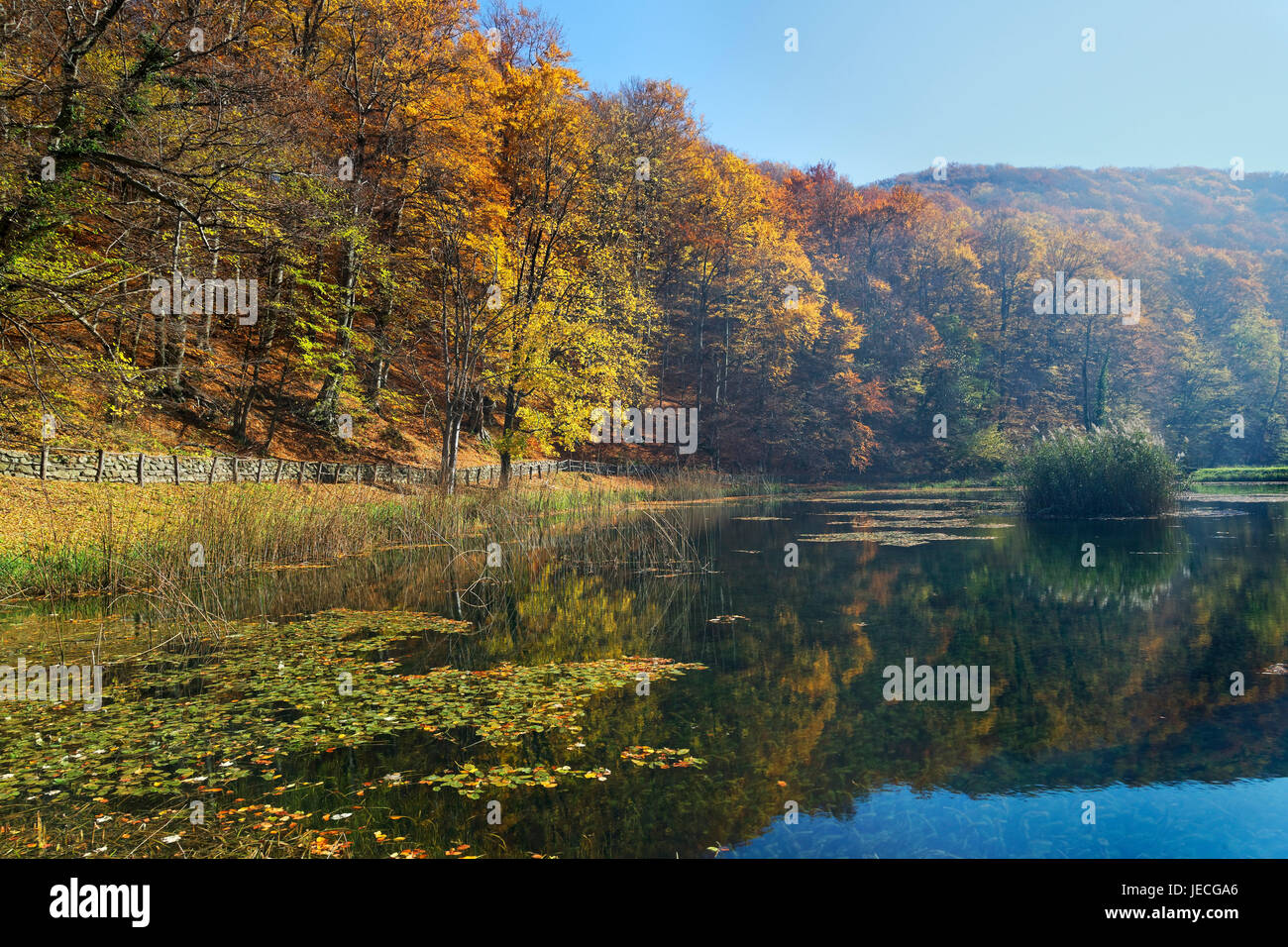 Lake in autumn in Papuk Nature Park, Croatia Stock Photo - Alamy