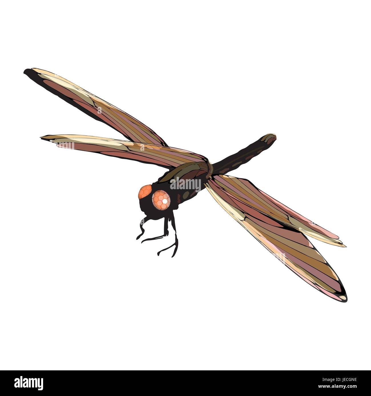 Red dragonfly on white isolated background. An illustration for your ...