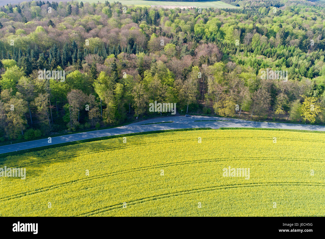 Rapeseed field germany hi-res stock photography and images - Alamy