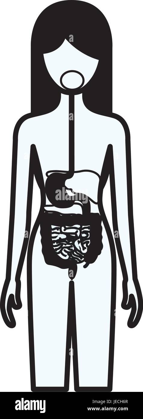 black silhouette thick contour of female person with digestive system ...