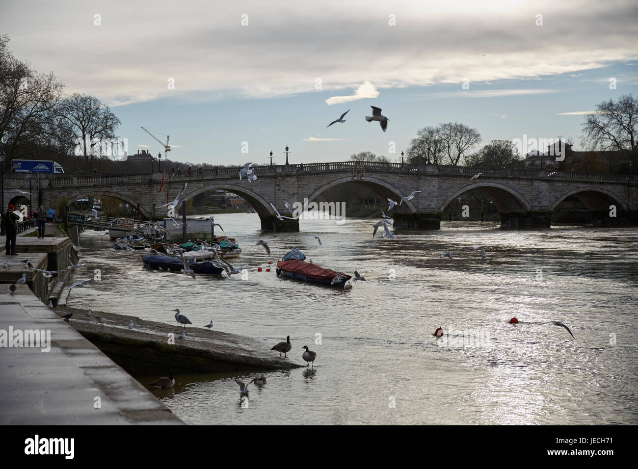 River Front Views in Richmond, London, UK Stock Photo - Alamy