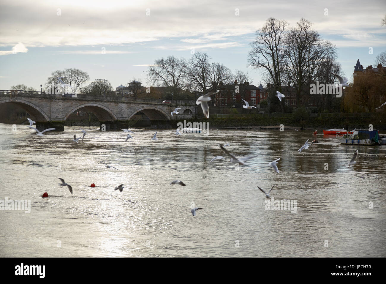 River Front Views in Richmond, London, UK Stock Photo - Alamy