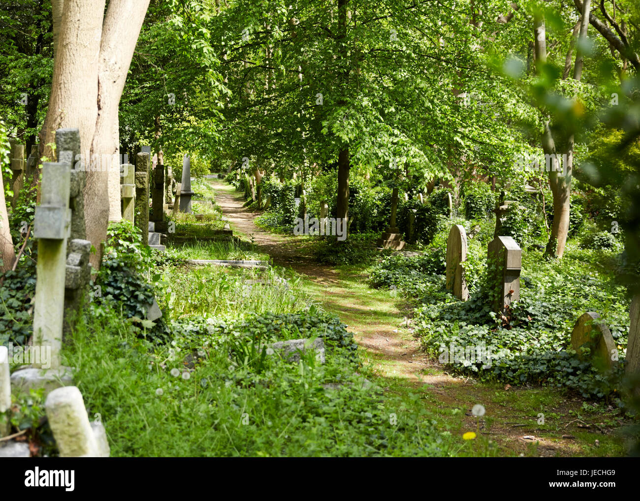 Cemetery road sign hi-res stock photography and images - Alamy