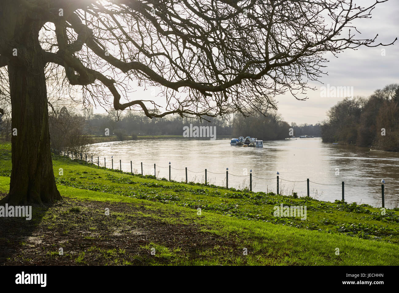 River Front Views in Richmond, London, UK Stock Photo - Alamy