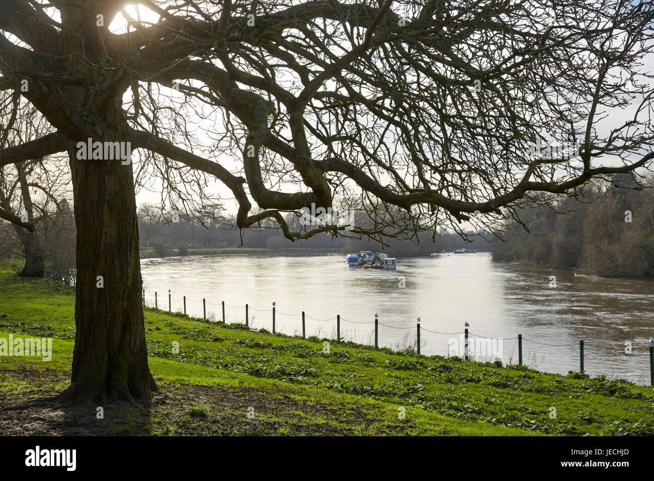 River Front Views in Richmond, London, UK Stock Photo - Alamy