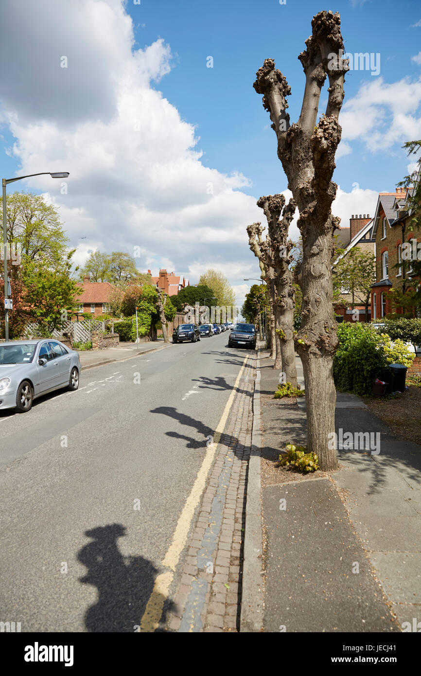 Lancaster Road, London, UK Stock Photo - Alamy