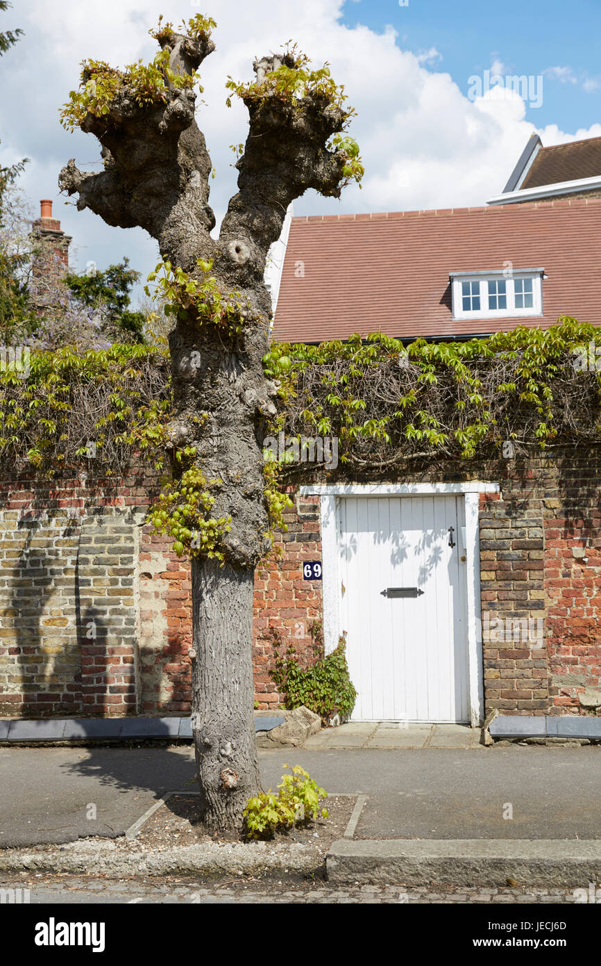 Lancaster Road, London, UK Stock Photo - Alamy
