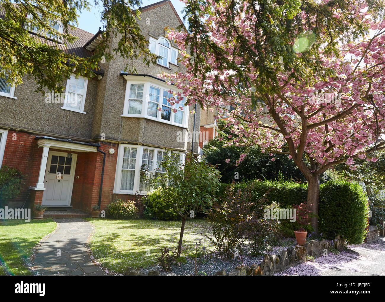 Murray Road, London, UK Stock Photo - Alamy