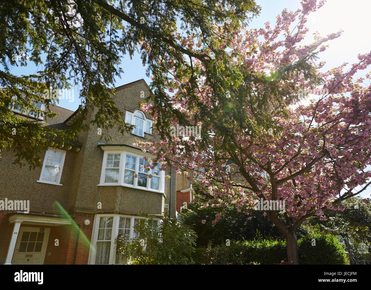 Murray Road, London, UK Stock Photo - Alamy