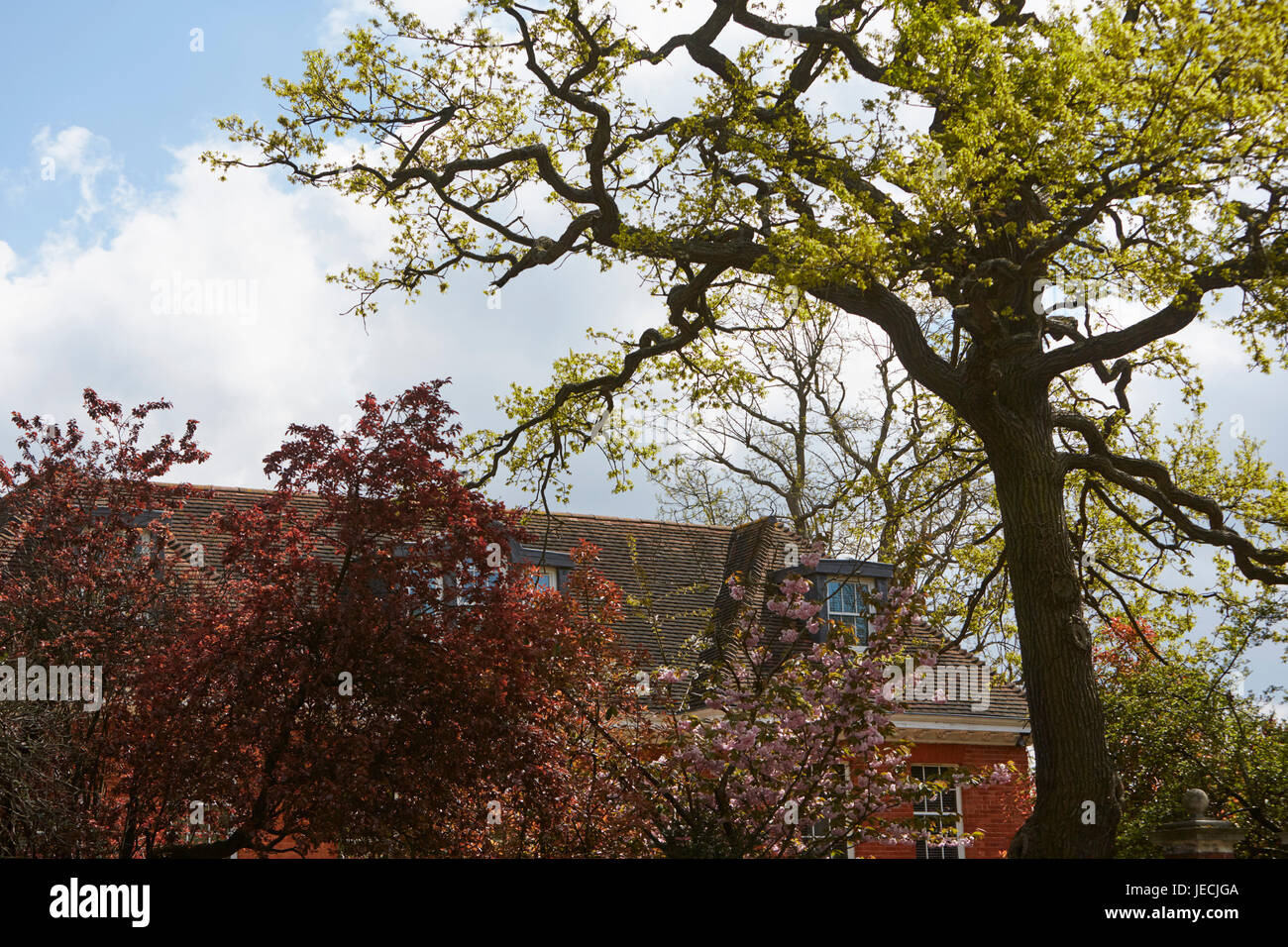 Parkside, London, UK Stock Photo - Alamy