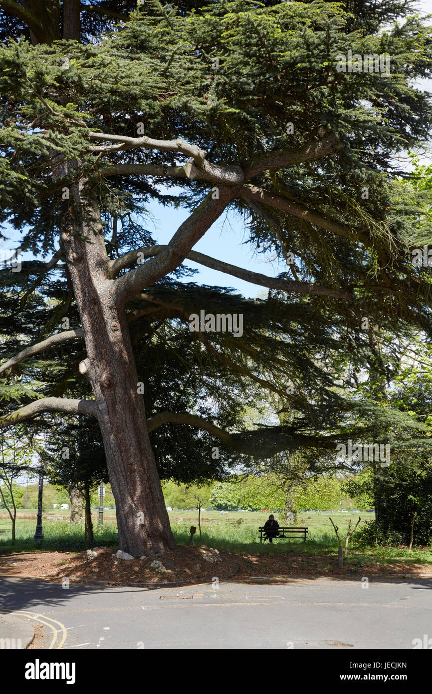 Murray Road, London, UK Stock Photo - Alamy