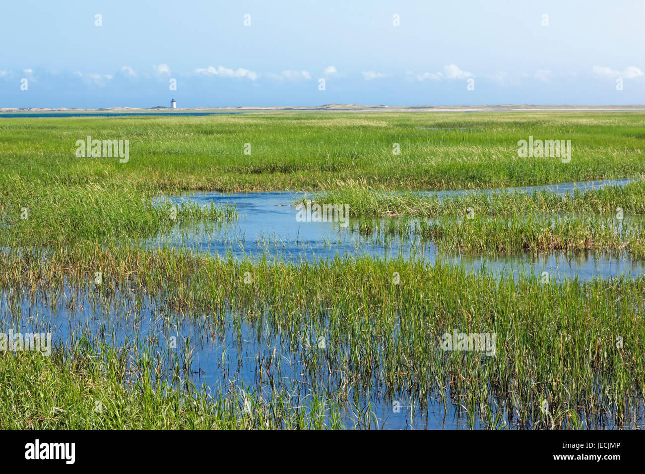 Saltmarsh hi-res stock photography and images - Alamy