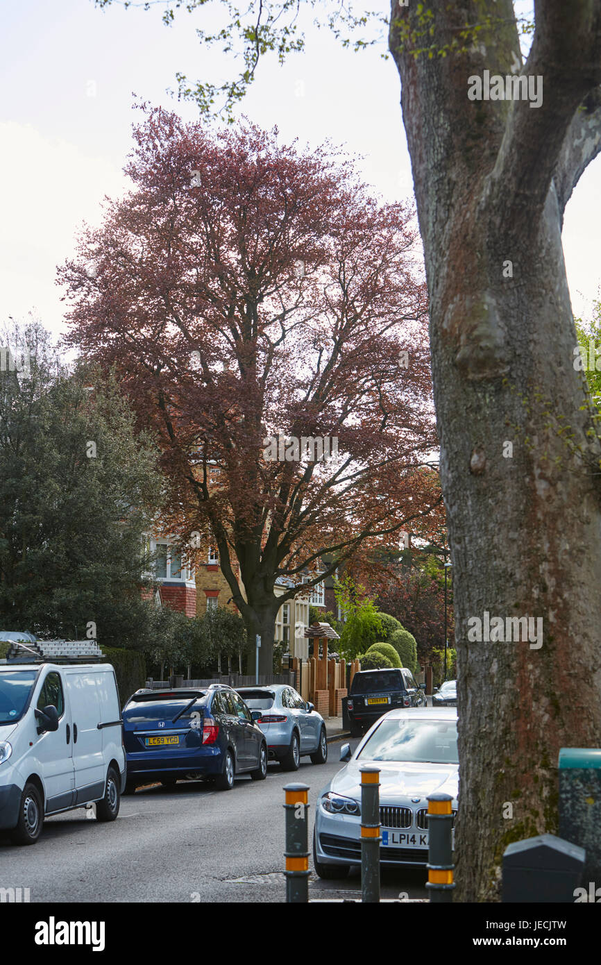 Grange road london hi-res stock photography and images - Alamy