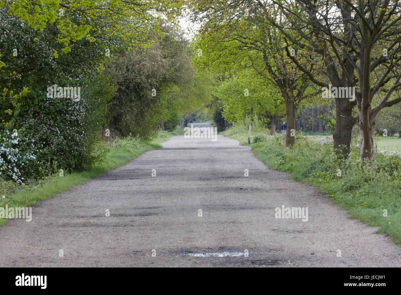 Wimbledon Common, London, UK Stock Photo - Alamy