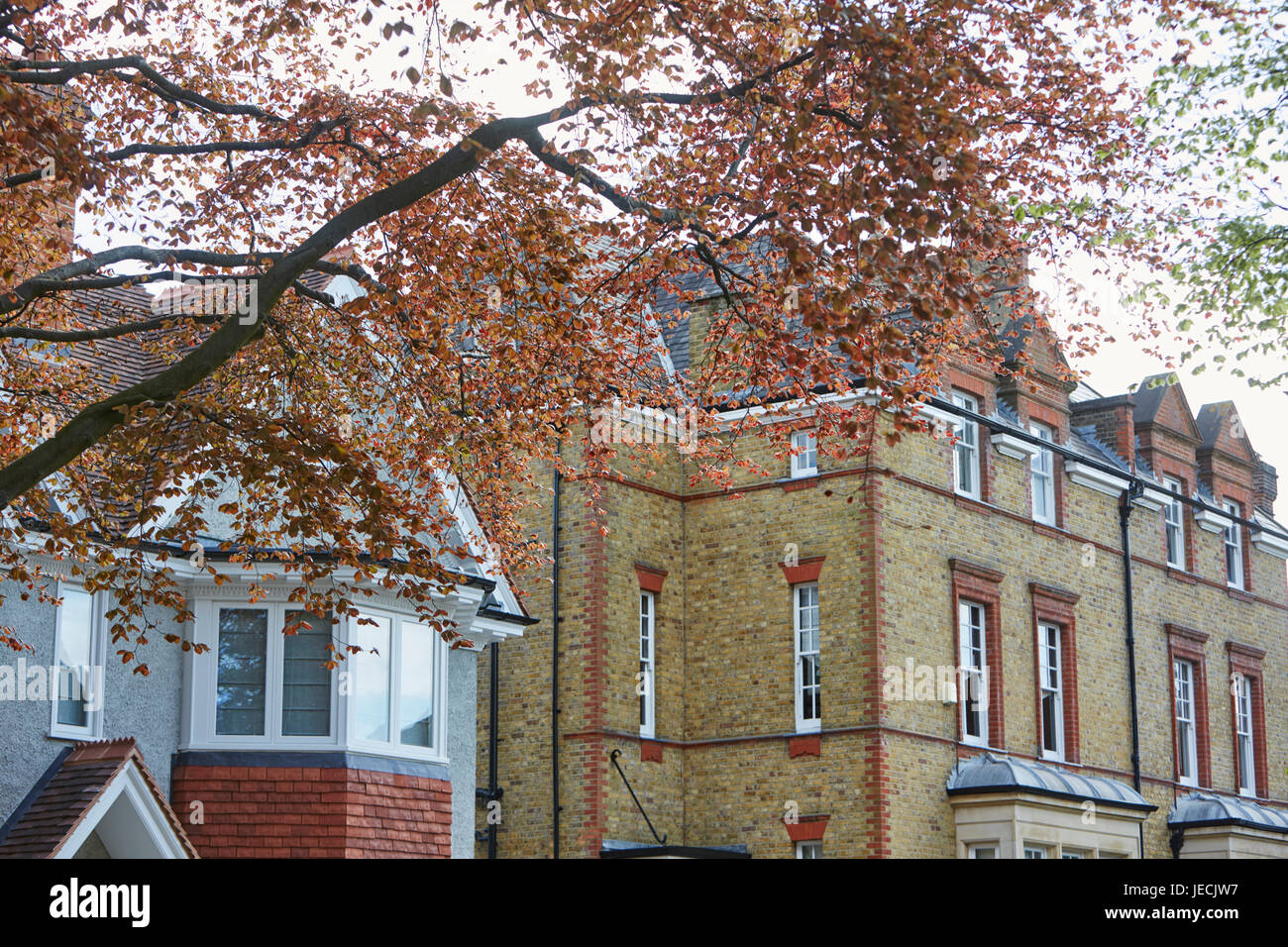The Grange, London, UK Stock Photo - Alamy