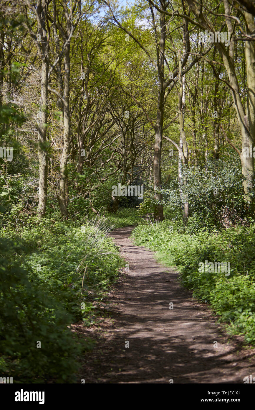 Wimbledon Common, London, UK Stock Photo - Alamy