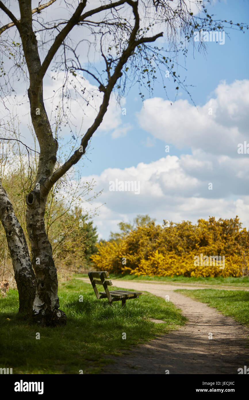 Wimbledon Common, London, UK Stock Photo - Alamy