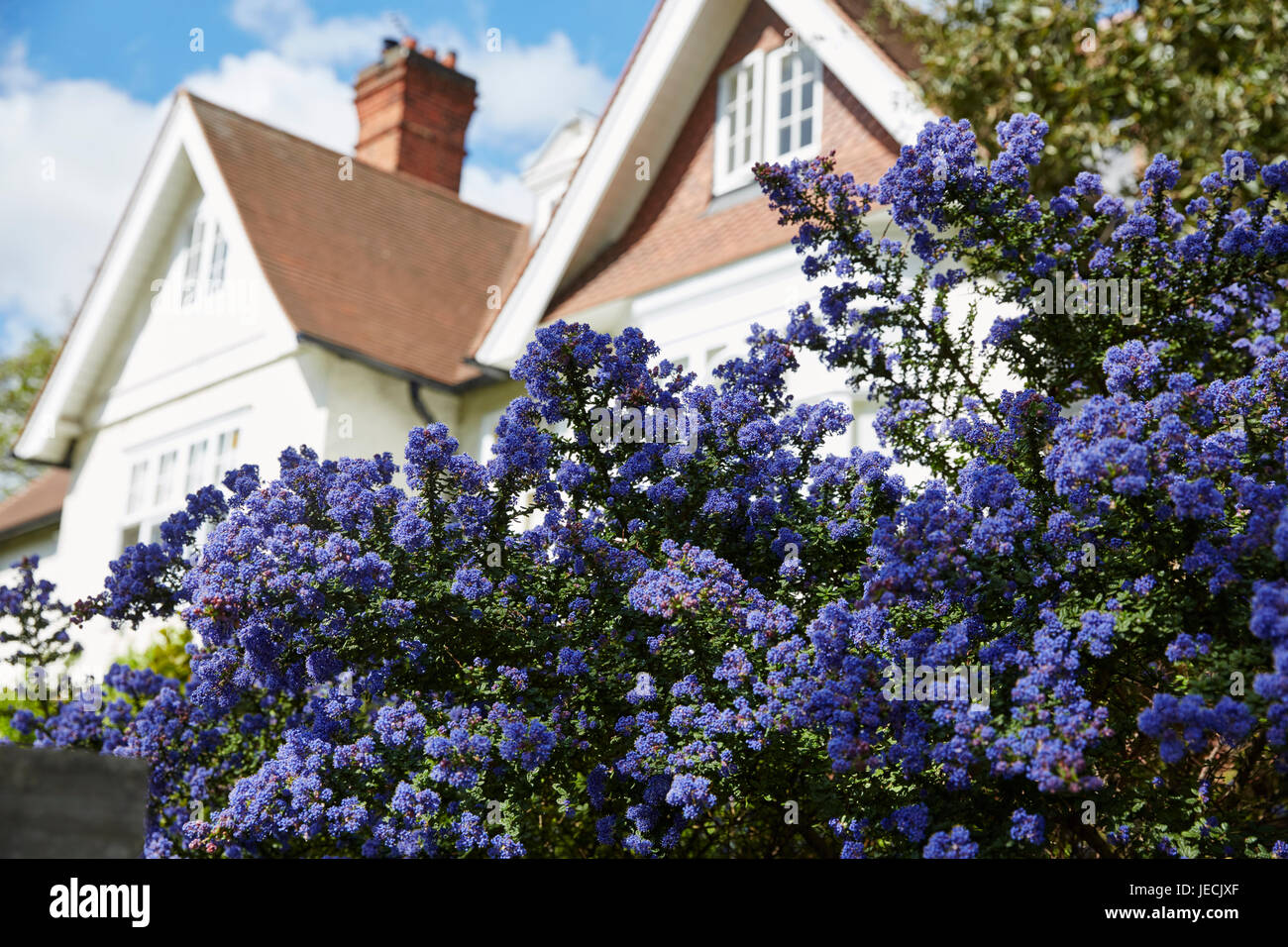 The Grange, London, UK Stock Photo - Alamy