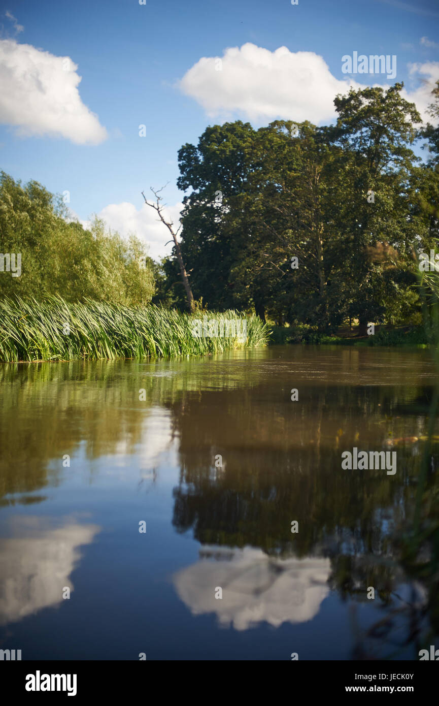 Riverside tree habitat hi-res stock photography and images - Alamy