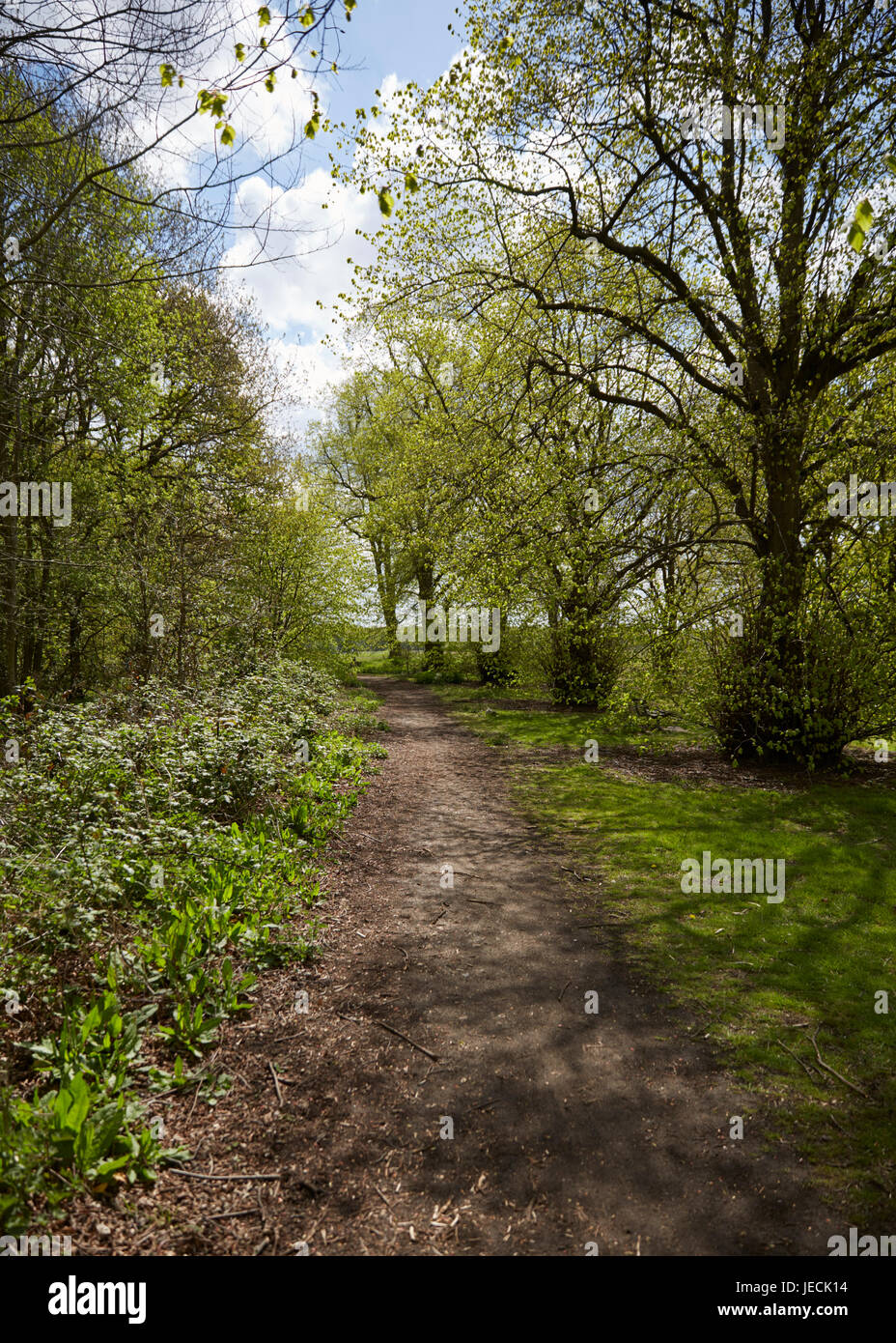 Wimbledon Common, London, UK Stock Photo - Alamy