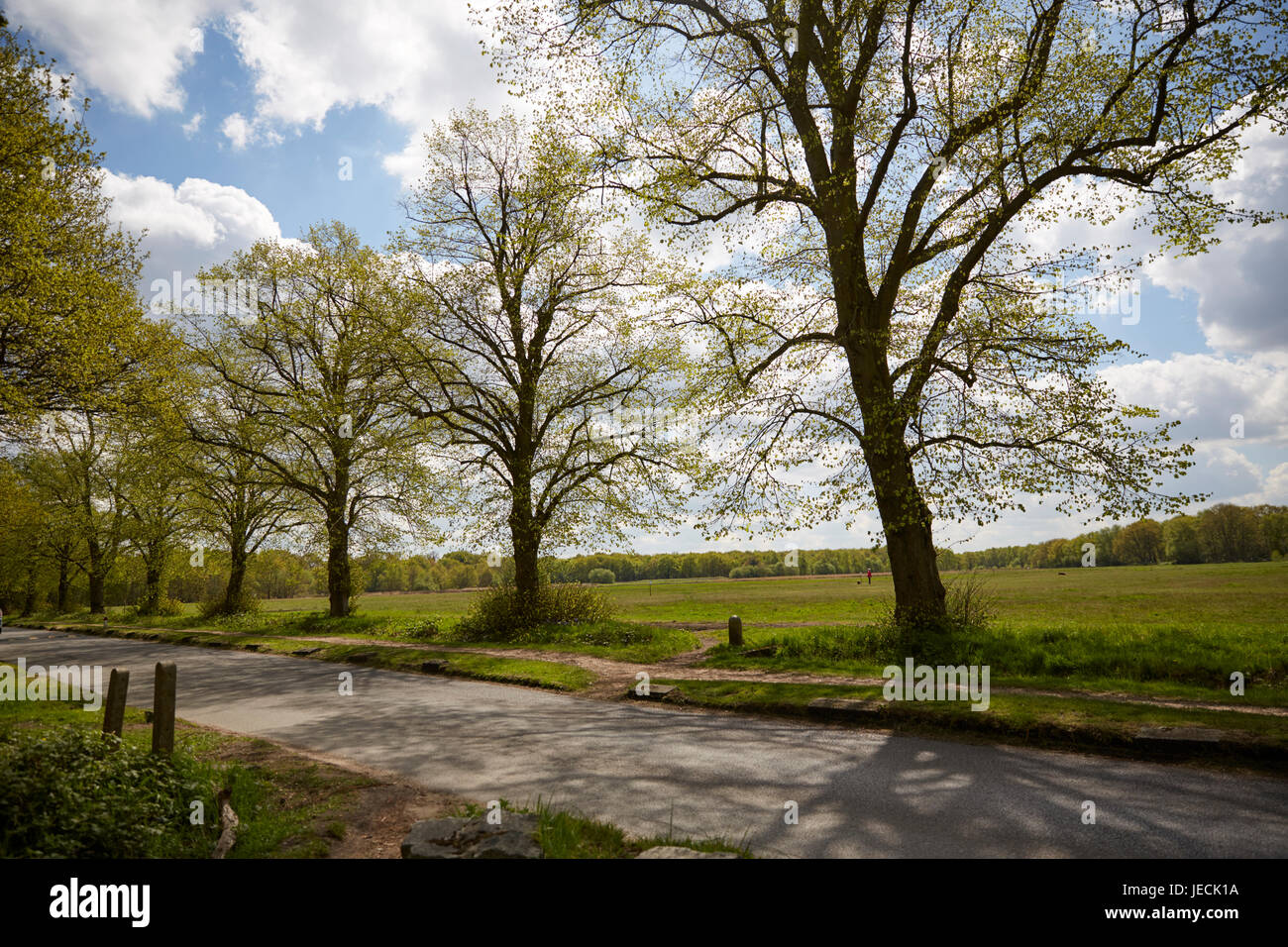 Wimbledon Common, London, UK Stock Photo - Alamy