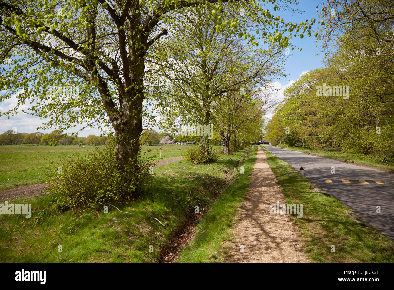 Wimbledon Common, London, UK Stock Photo - Alamy