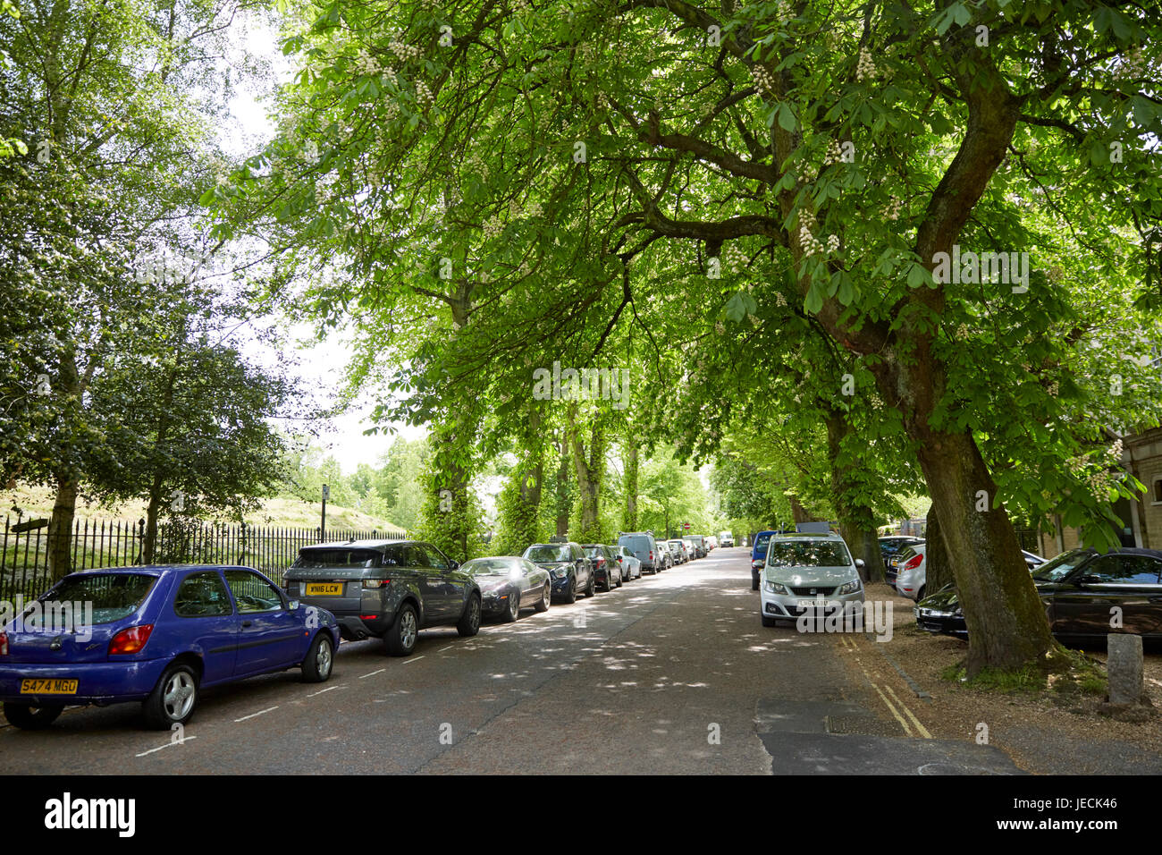 The Grove, London, UK Stock Photo - Alamy