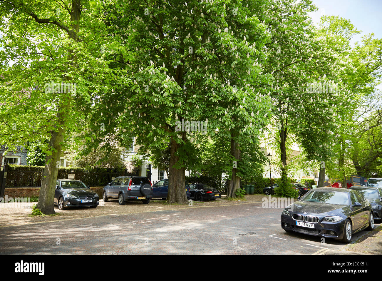 The Grove, London, UK Stock Photo - Alamy