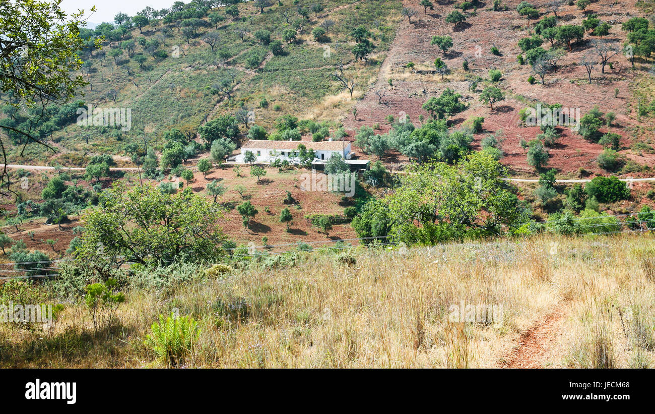 Travel to Algarve Portugal - farm in Serra do Caldeirao mountains near ...