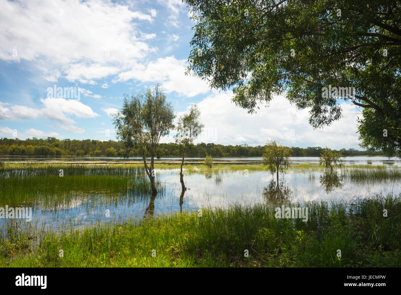 Flooded wetlands during the wet season, Kakadu National park, Northern territory, Australia ...