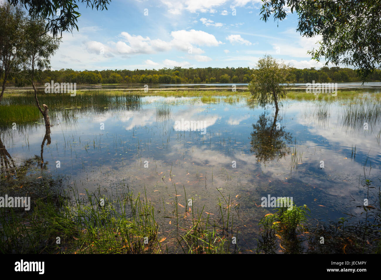 Flooded wetlands during the wet season, Kakadu National park, Northern territory, Australia ...