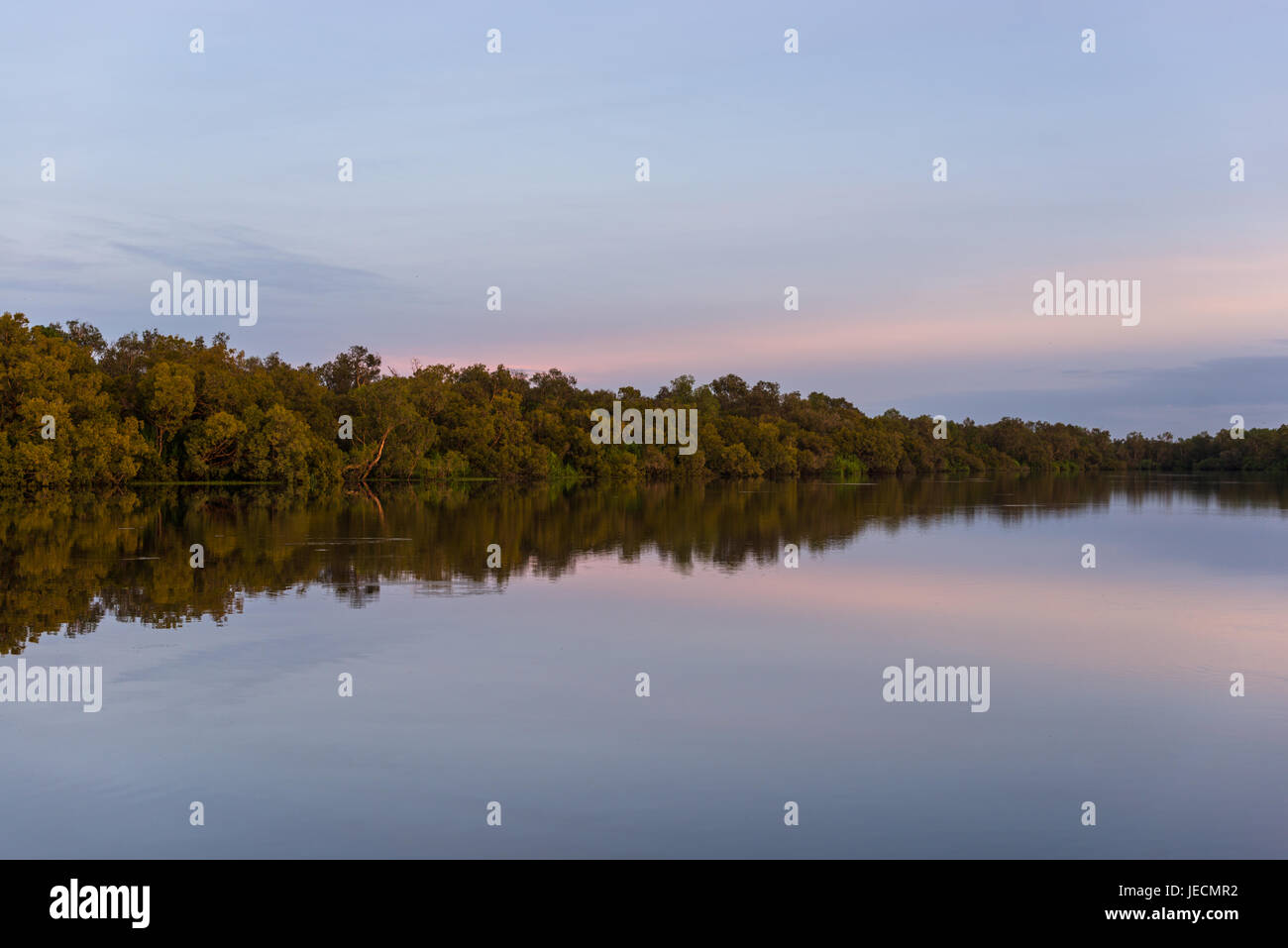 Flooded wetlands during the wet season, Kakadu National park, Northern territory, Australia ...