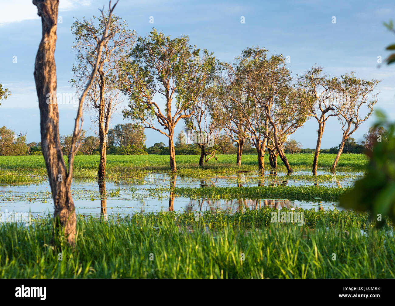Flooded wetlands during the wet season, Kakadu National park, Northern ...