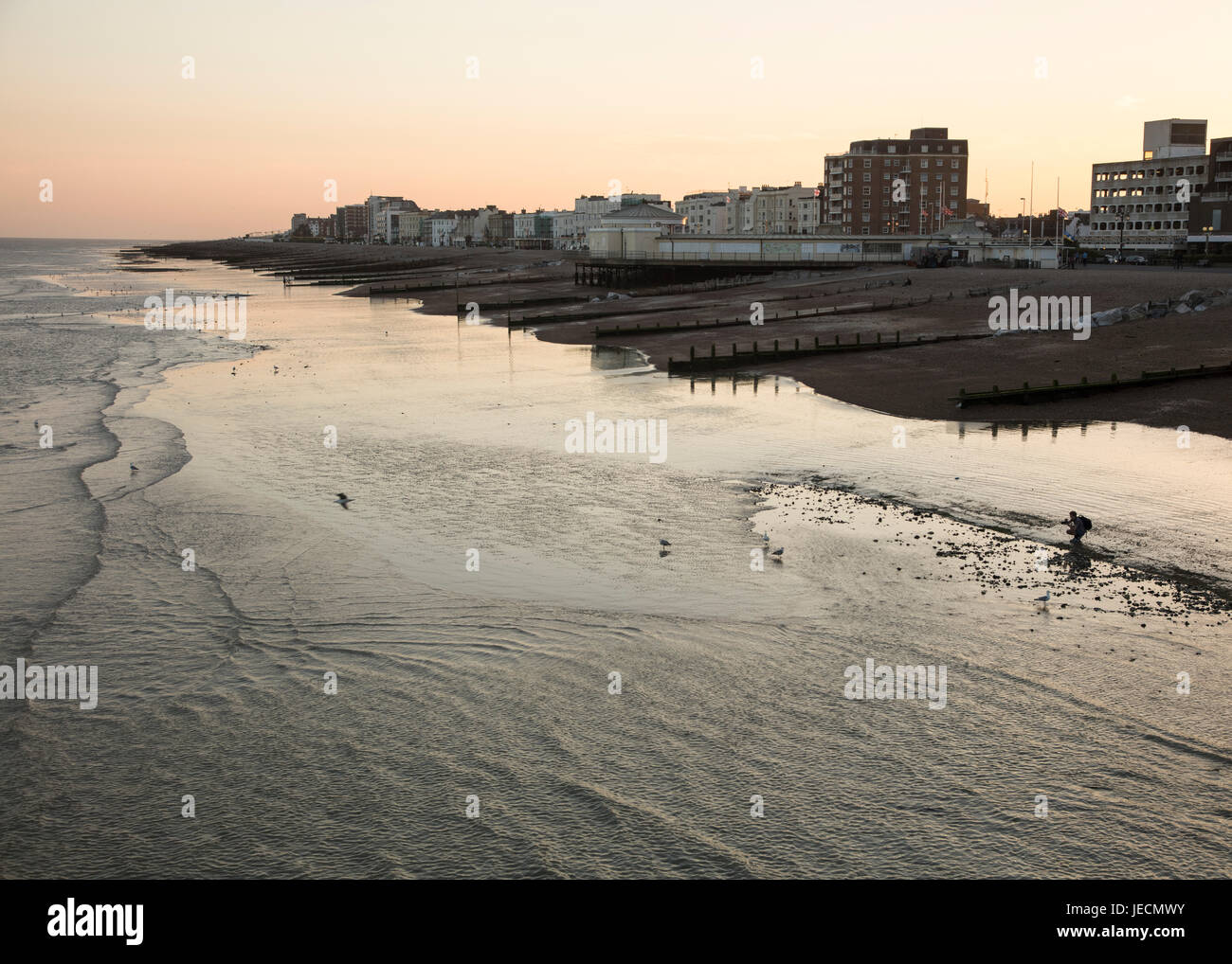 Crouching photographer hi-res stock photography and images - Alamy