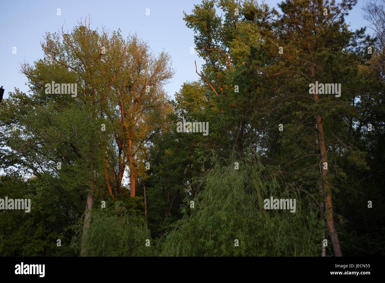 Sunlit beam hi-res stock photography and images - Alamy