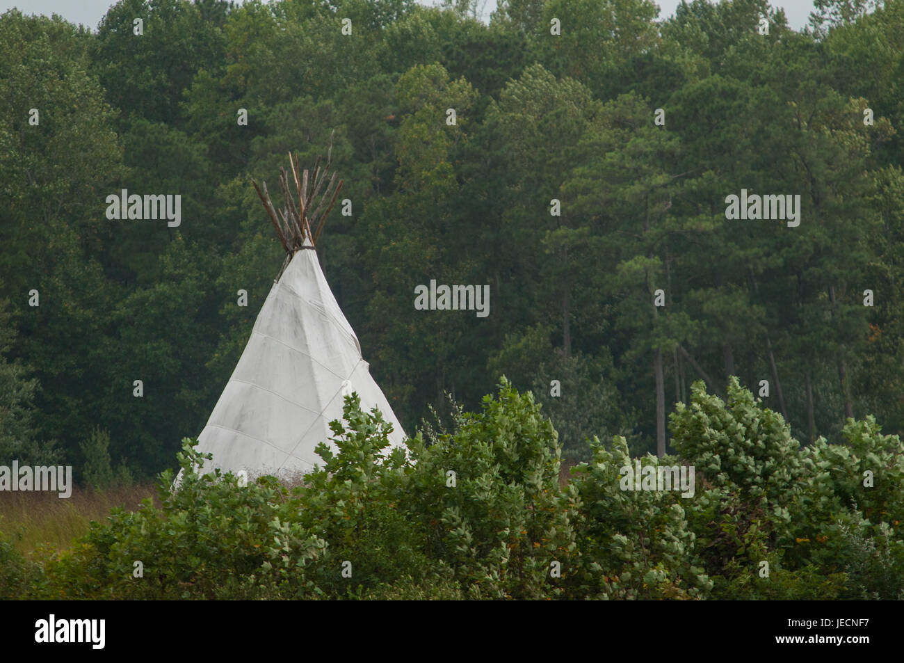 TeePee in a field at Beaver Dam Park, Gloucster, Virginia Stock Photo ...