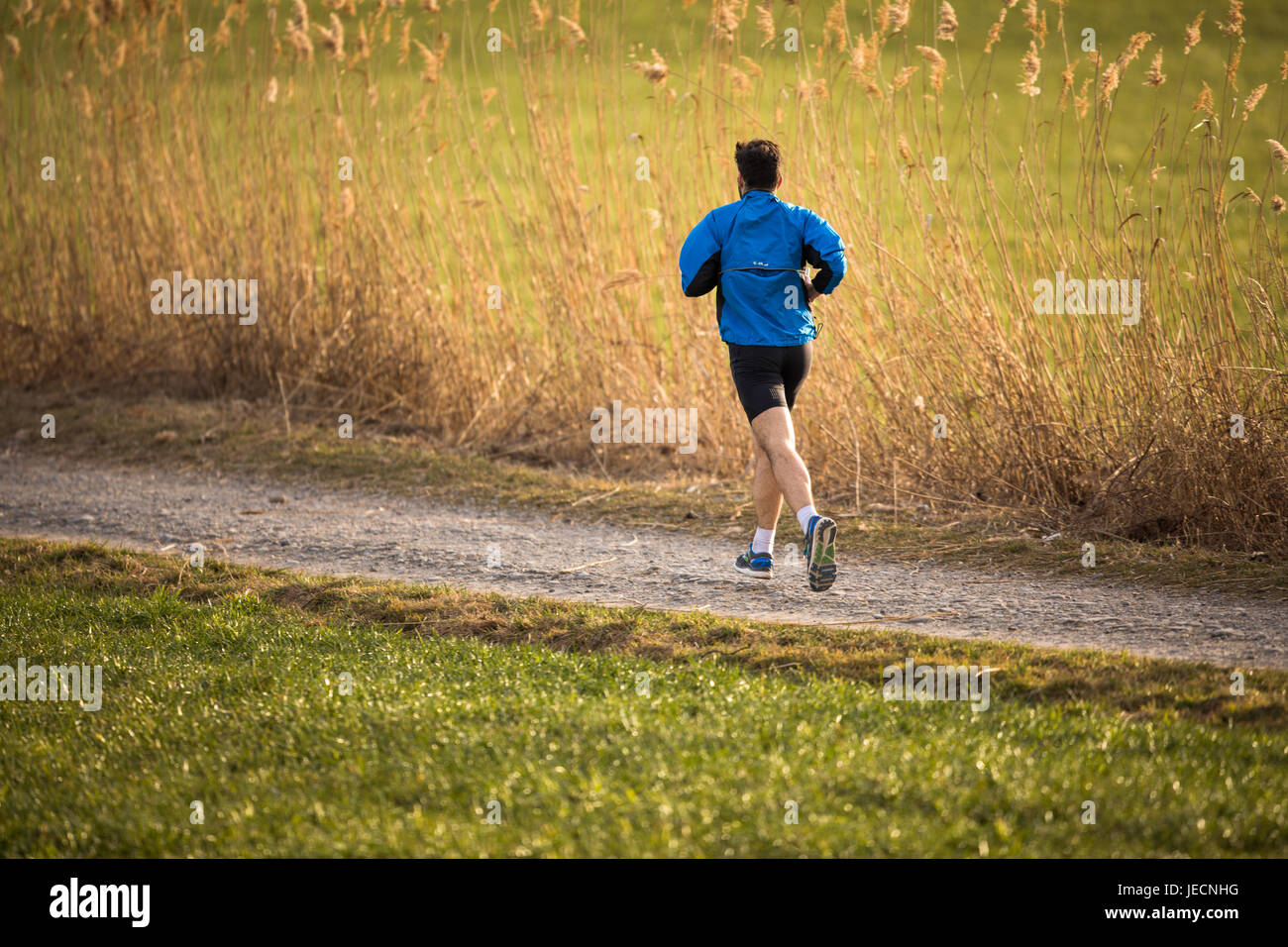 Young man running outdoors on a lovely sunny day Stock Photo - Alamy