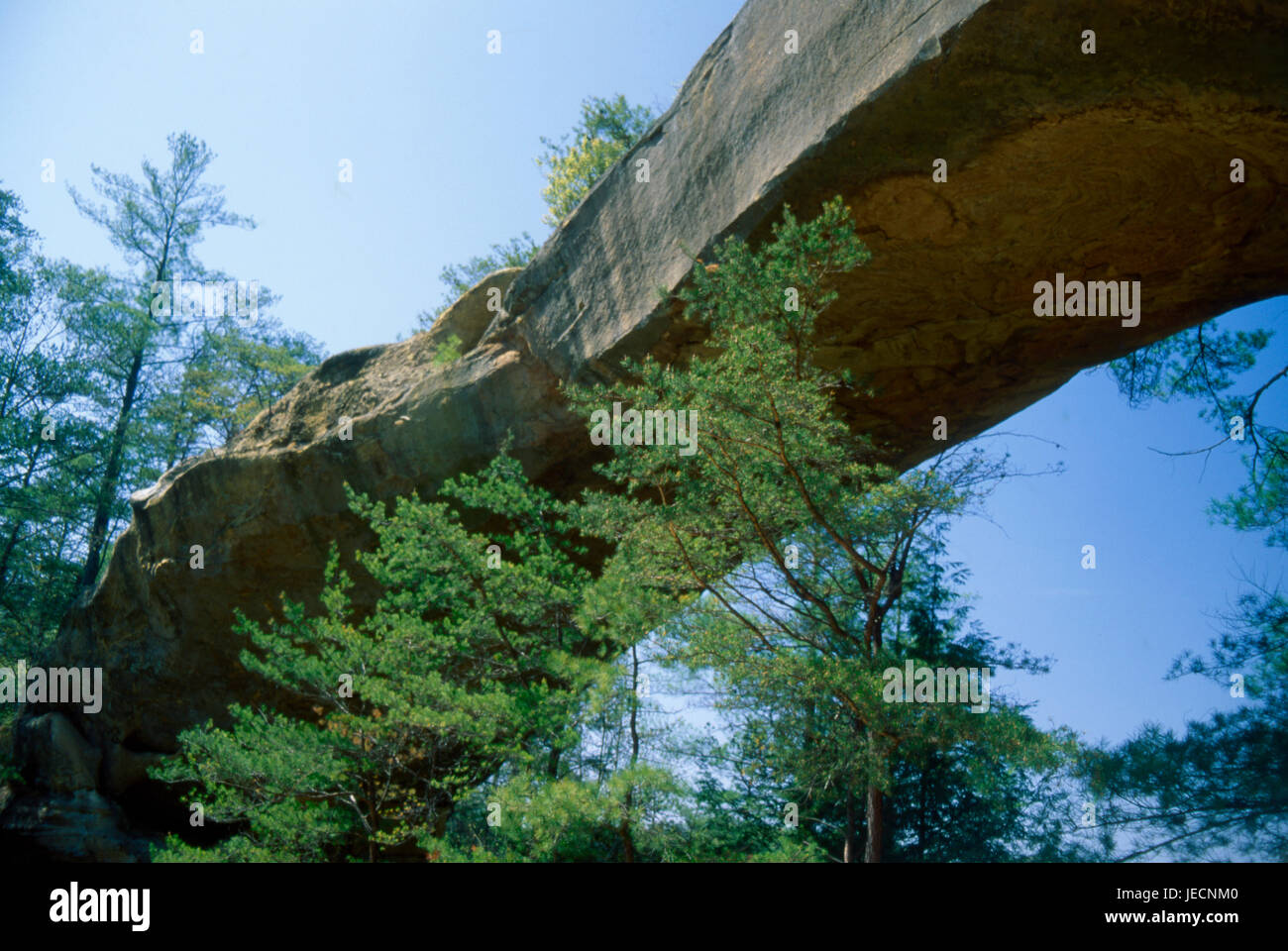 Sky Bridge, Red River Gorge Area, Daniel Boone National Forest ...