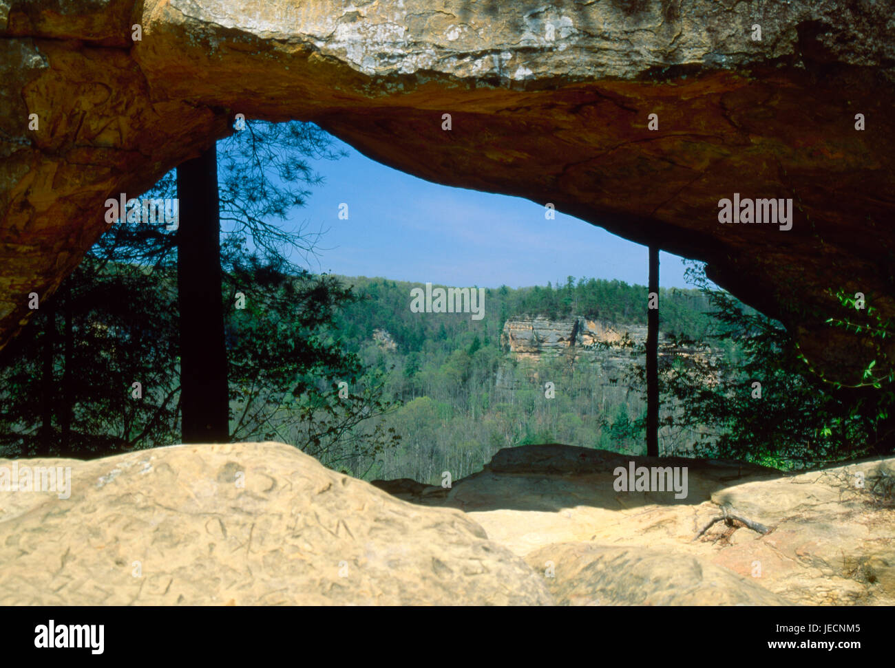 Sky Bridge, Red River Gorge Area, Daniel Boone National Forest ...