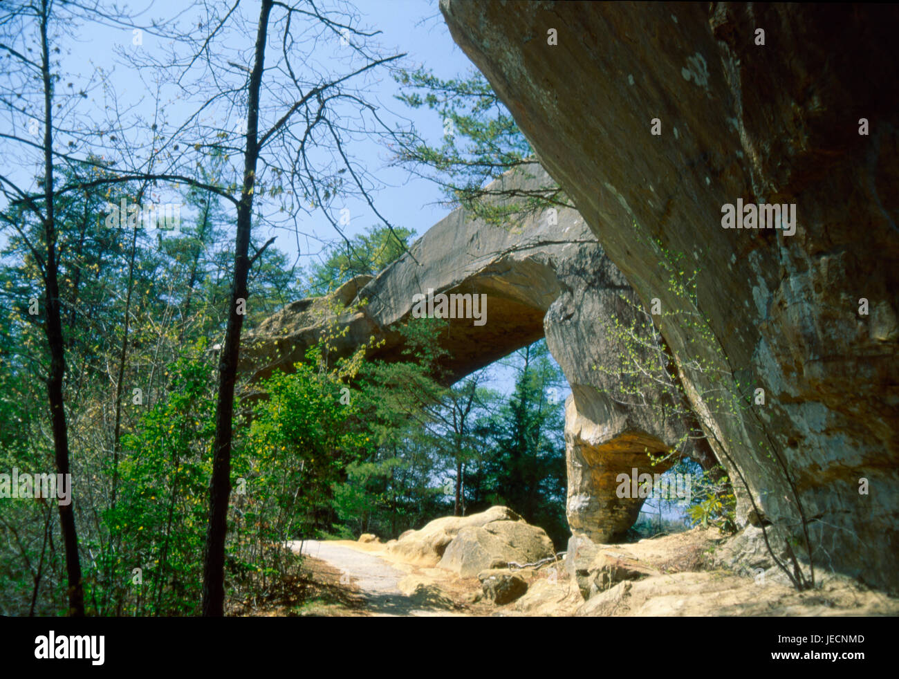 Sky Bridge, Red River Gorge Area, Daniel Boone National Forest ...