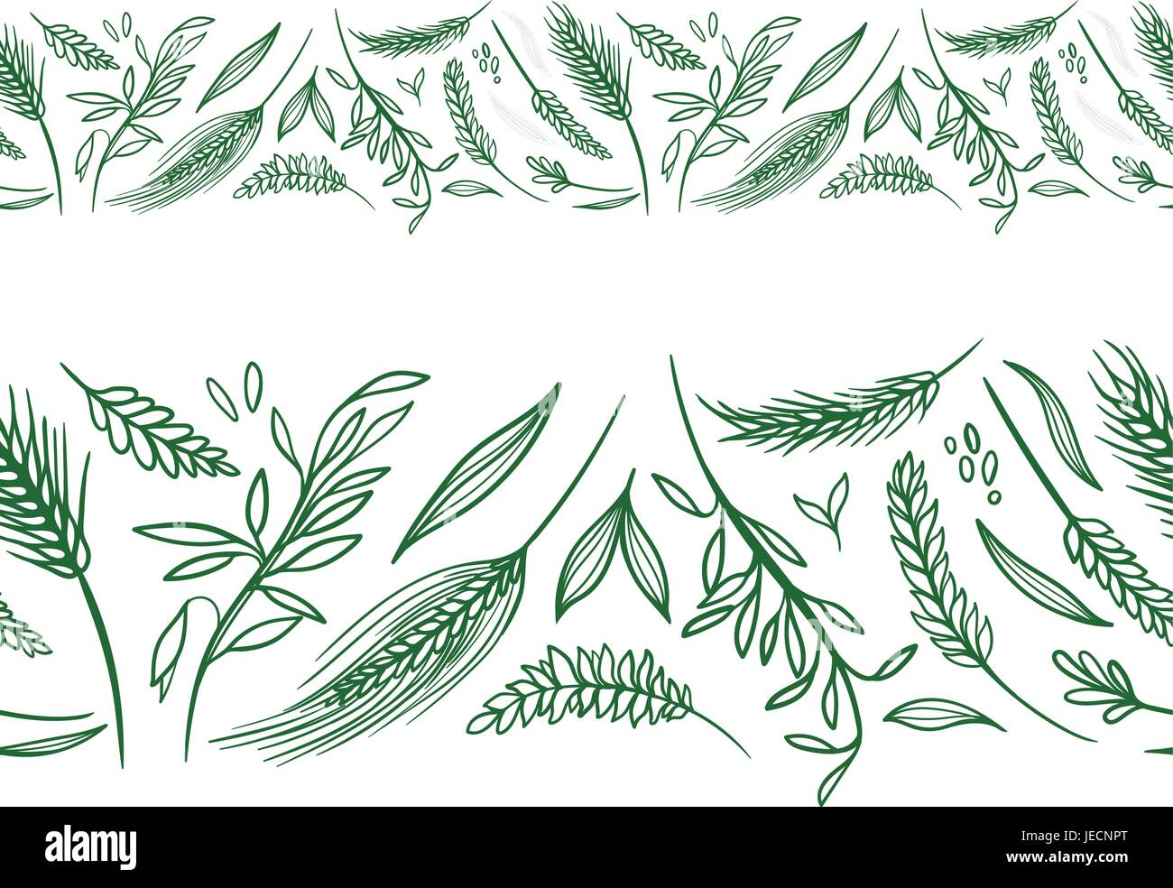 Farming green wheat and rye spike repeating design elements Stock ...