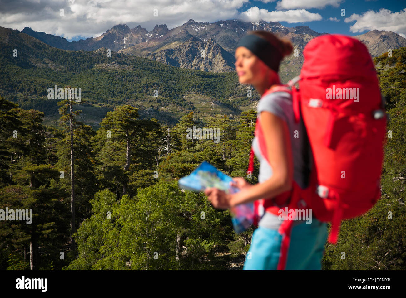 Pretty, female hiker in high mountains Stock Photo - Alamy
