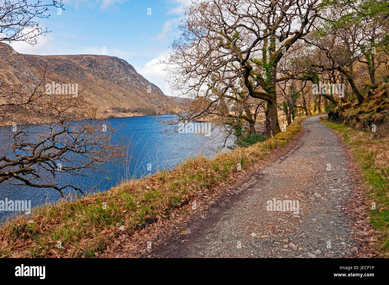 Path along lake, Glenveagh National Park, County Donegal, Ireland Stock ...