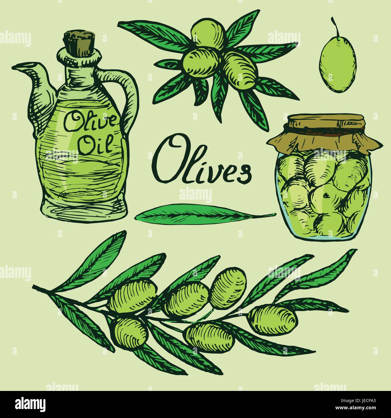 Jar Of Olives Drawing