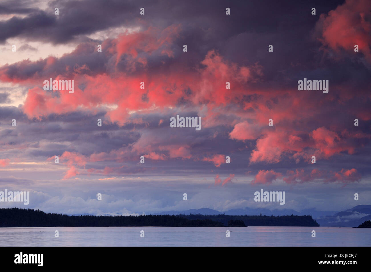 Canada, British Columbia, Vancouver Iceland, Johnstone Strait ...