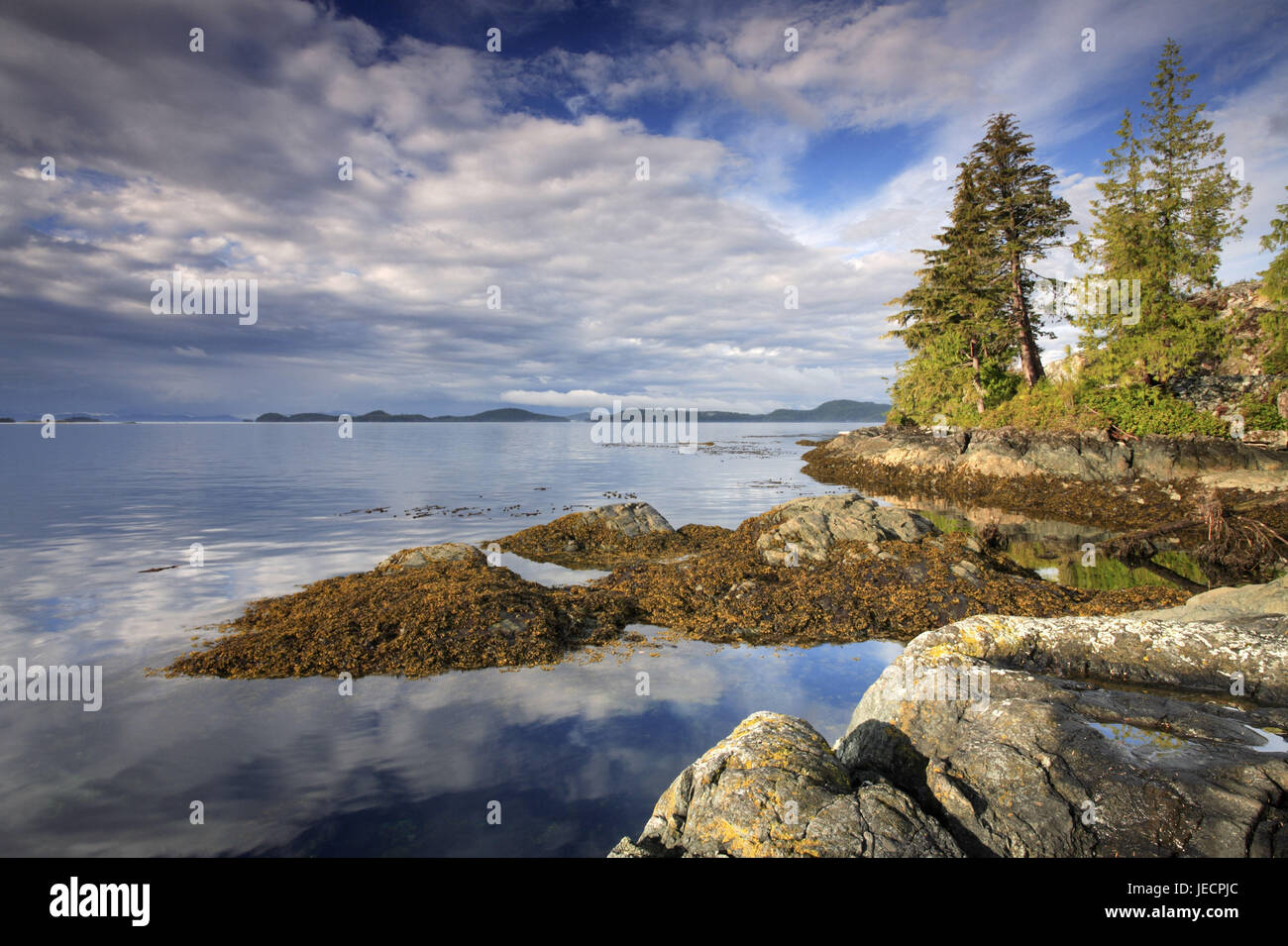 Canada, British Columbia, Vancouver Iceland, Johnstone Strait, shore ...