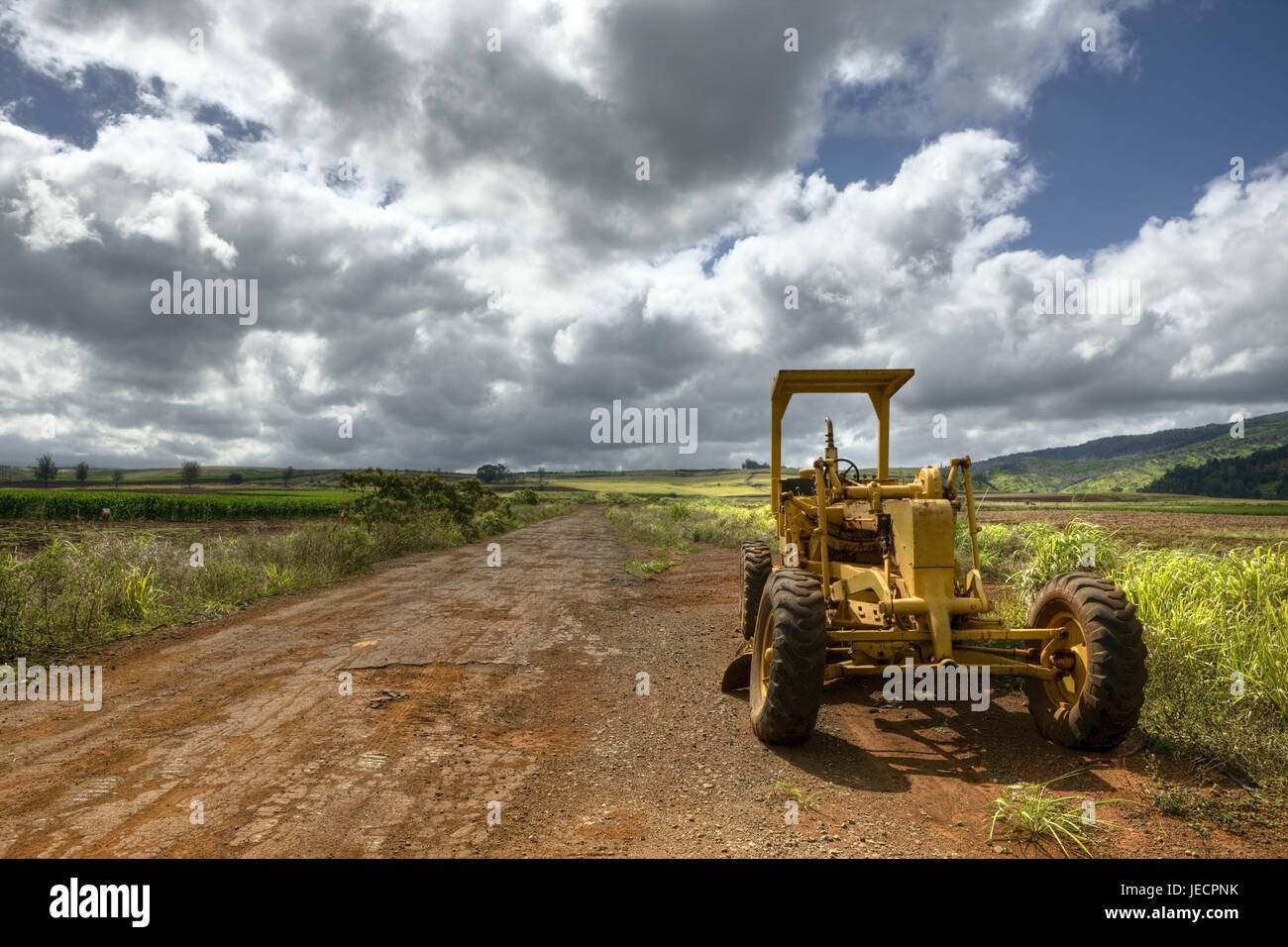 Hawaii oahu street hi-res stock photography and images - Alamy