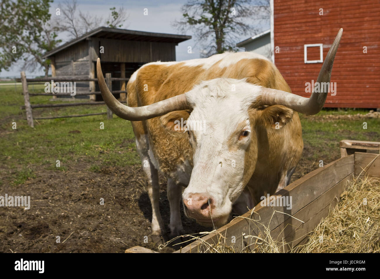 Mennonite hi-res stock photography and images - Alamy