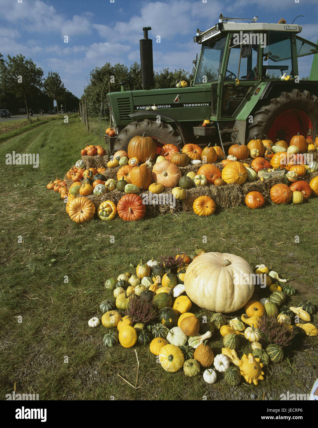 Country lane, field, tractor, sales, pumpkins, street, meadow, straw ...